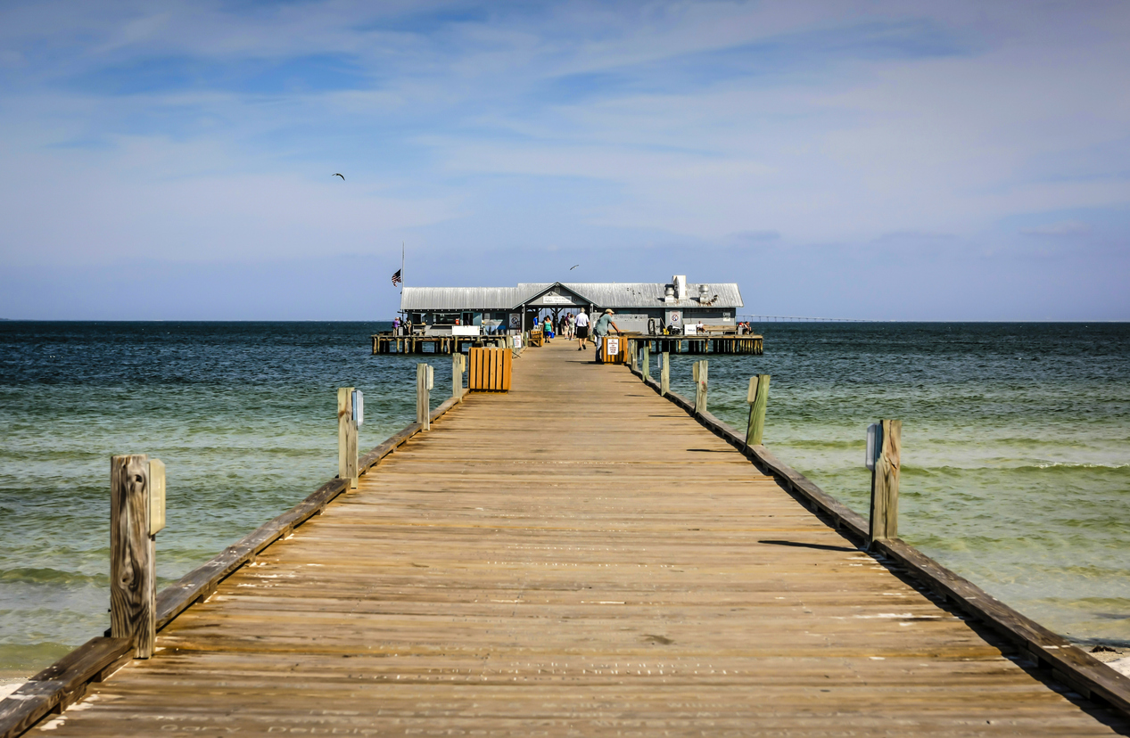 3 Unforgettable Ways to Spend Father's Day on Anna Maria Island - AMI ...